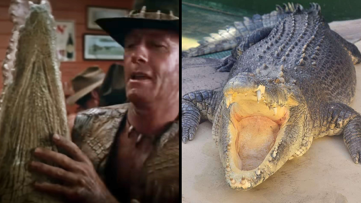 CoveredGeekly | Latest Entertainment News, Engaging Stories & More