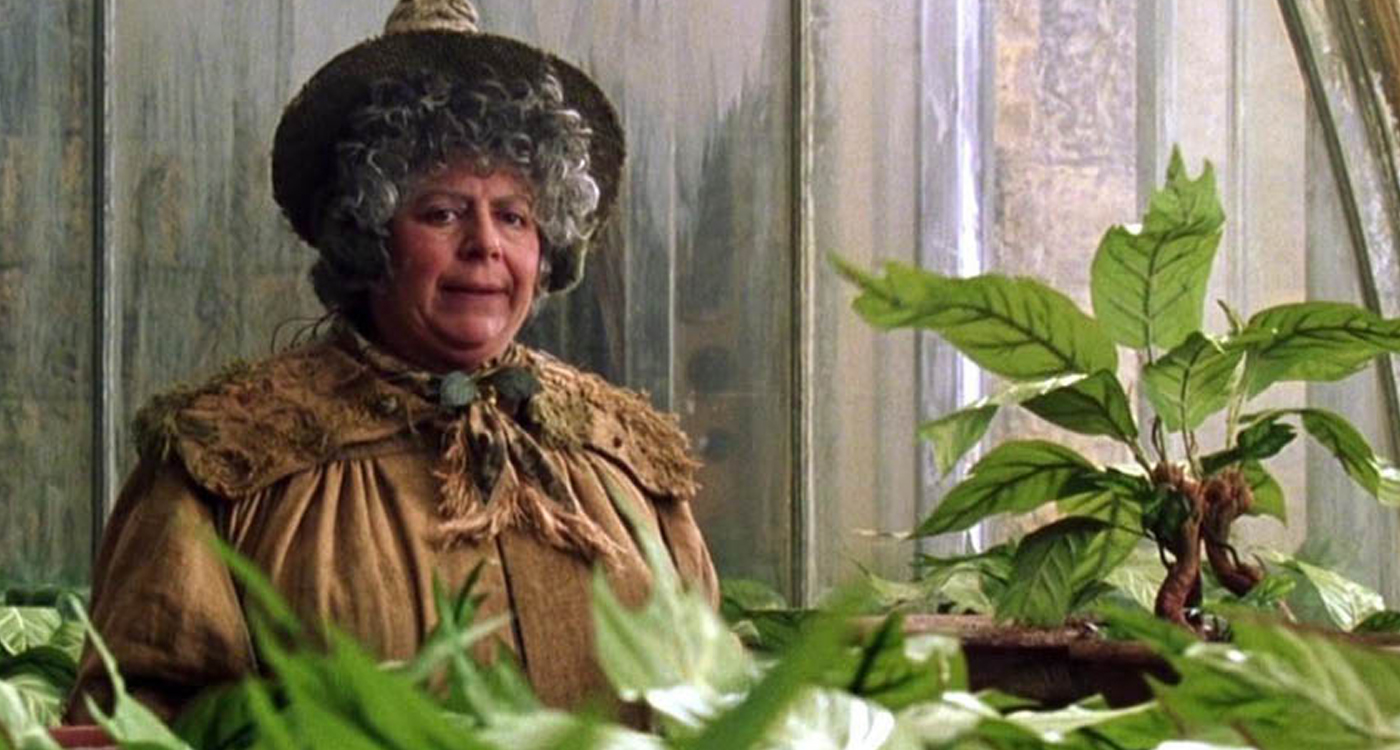 Harry Potter actress reveals 'greed' is real reason for not taking ...