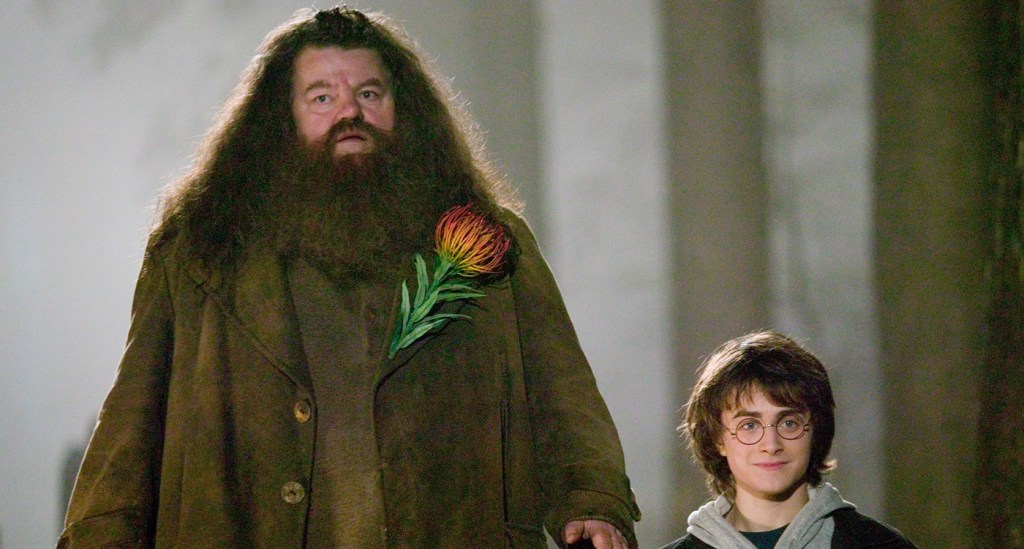 Ted Lasso and Thor actor Brett Goldstein eyed to play Hagrid in ...