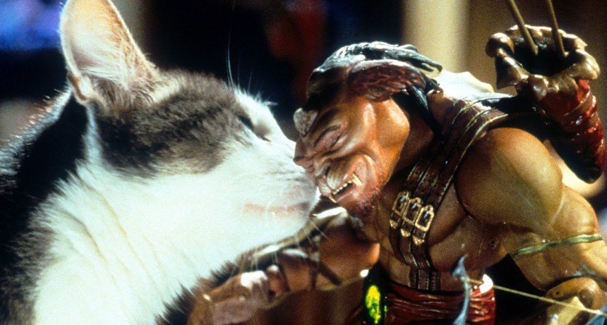 The Gorgonites fate finally revealed after nearly 30 years by Small ...